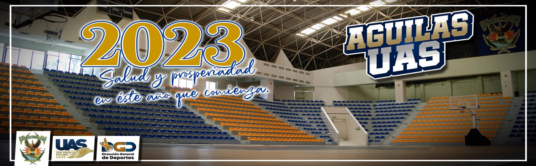 Dirección General de Deportes